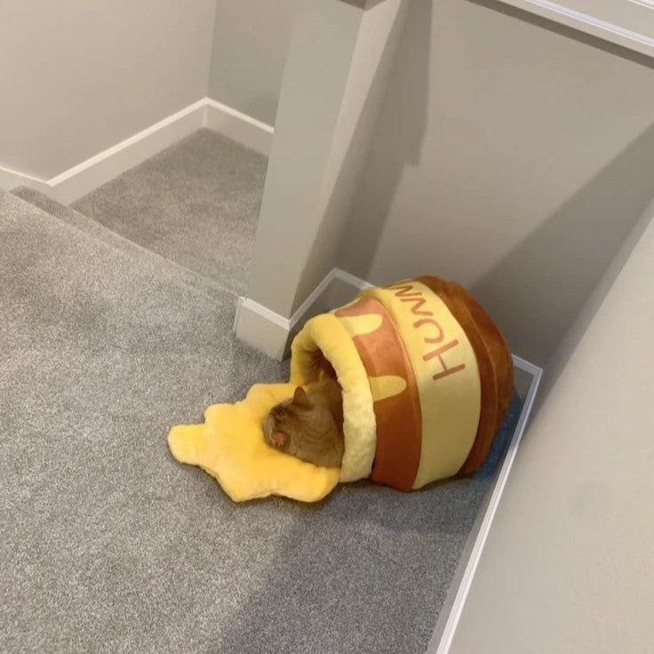 Hunny Cozy Pet Cave Bed – Luxandluxy